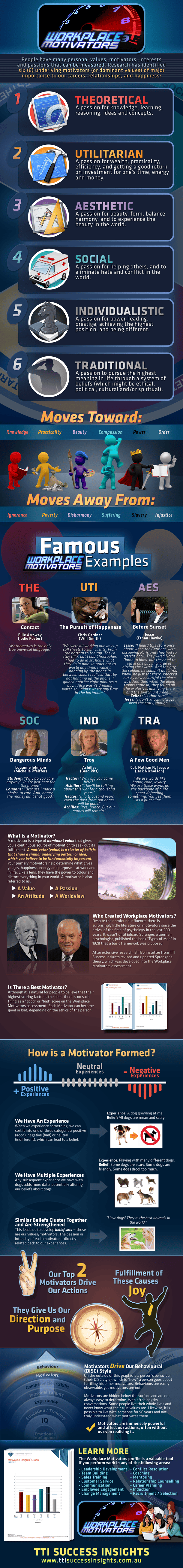 The 6 Motivators (Values) Infographic