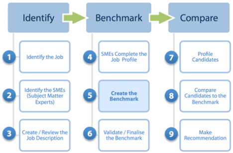 The Job Benchmarking Process